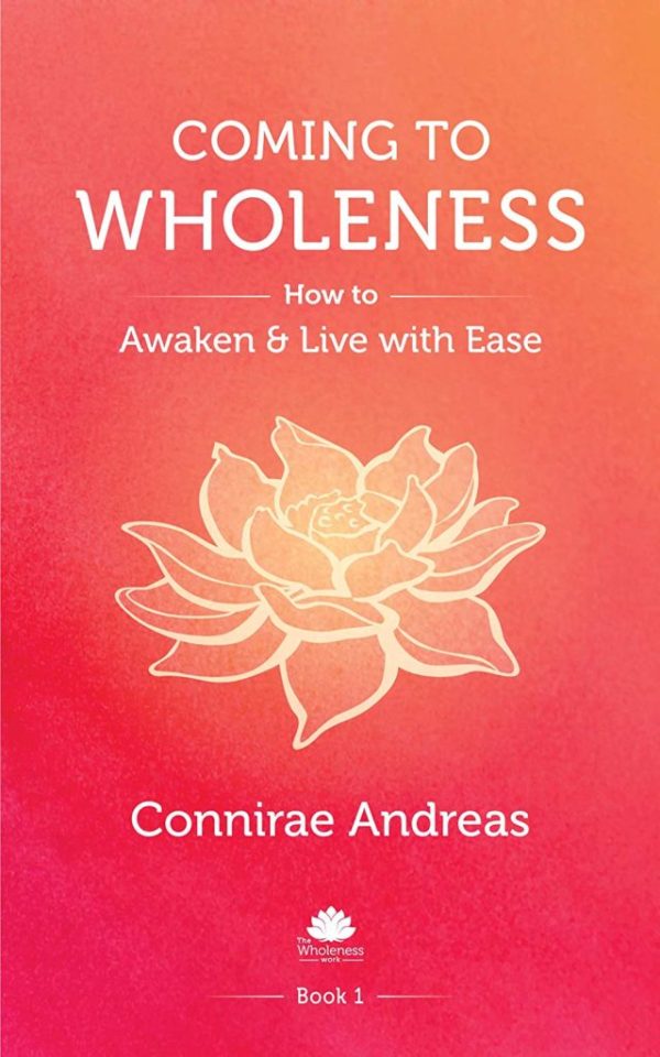 Connirae Andreas – Wholeness Work – January 2022 – Advanced Training ...