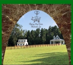 John Overdurf OHC and Rhizomatic Linguistics